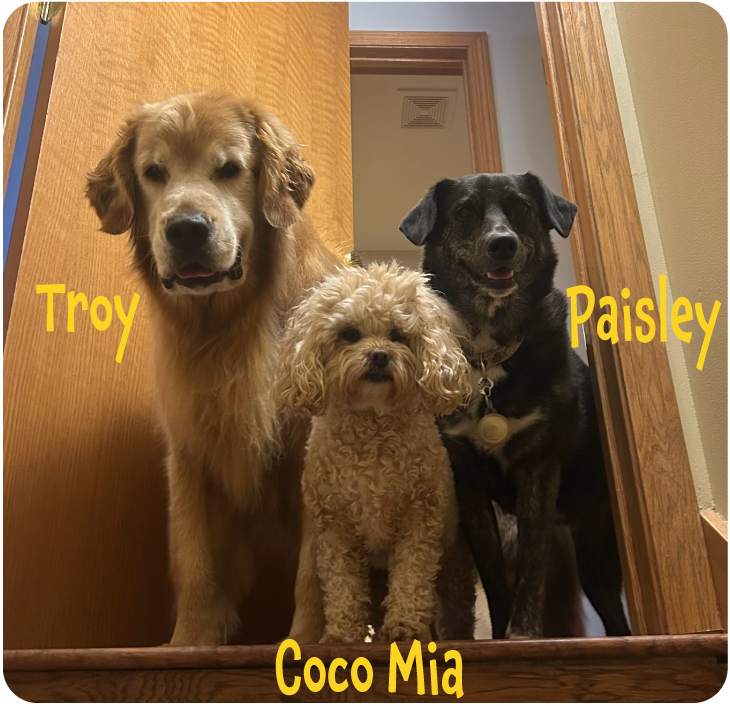 Meet The Pack - Adventures of Coco Mia